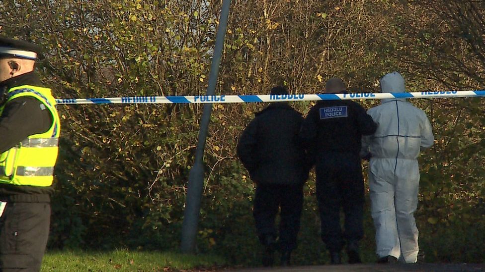 Two arrested in St Mellons woodland murder probe, Cardiff - BBC News