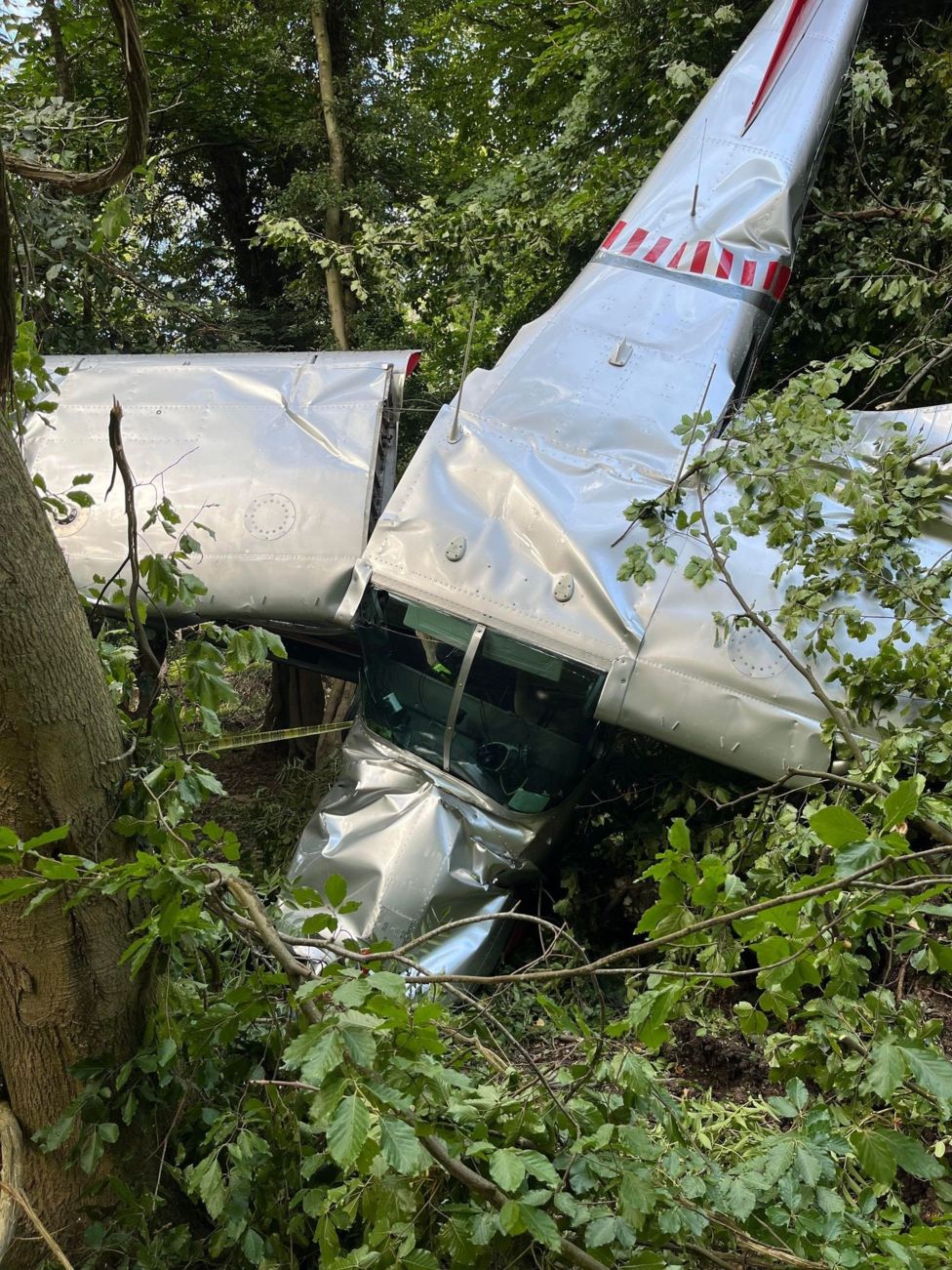 'Miraculous' outcome after plane lands in tree - BBC News