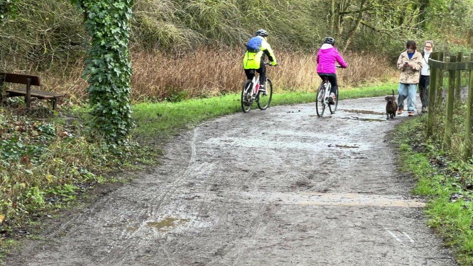 Wirral Way: Record numbers visit former railway line, council says ...