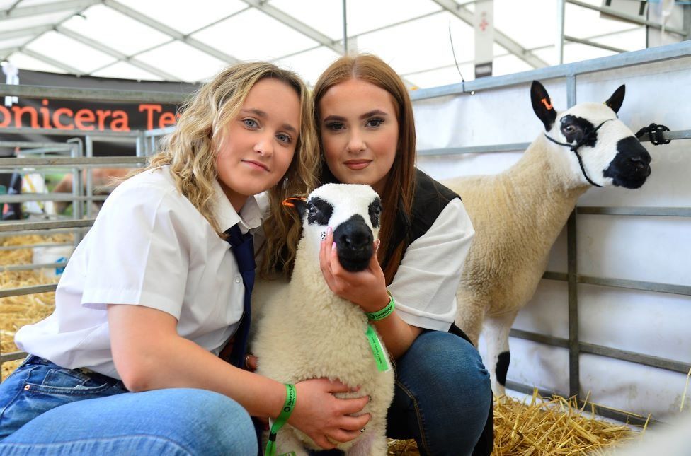 Balmoral Show 2023: Your guide to what's on at NI's biggest ...