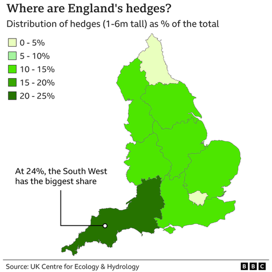England's hedges would circle the Earth TEN TIMES from end-to-end - BBC ...