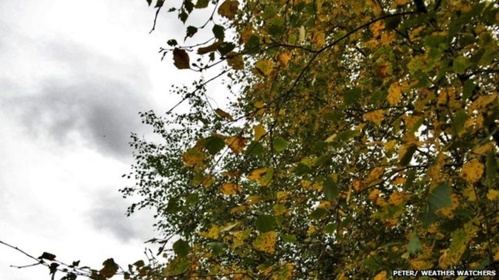 Profile: Peter from Altass - BBC Weather