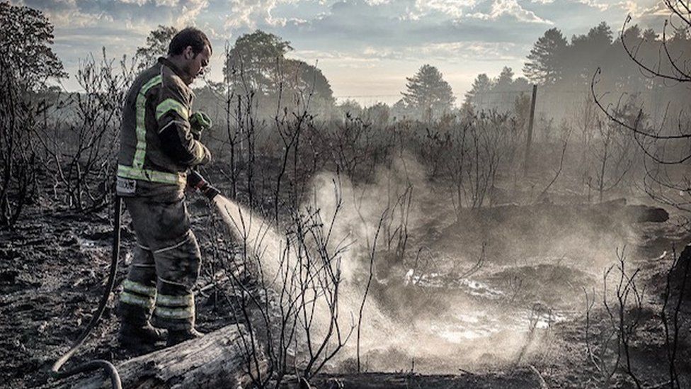Wareham Forest: Strong winds reignite five-day-old blaze - BBC News