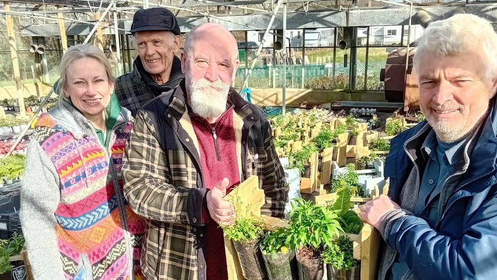 Bee cafes launch in Woodbridge to save the insect in urban areas - BBC News