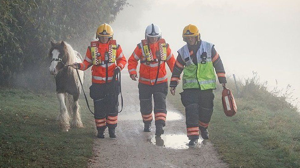 Cambridgeshire fire crews rescue pony trapped in River Cam - BBC News