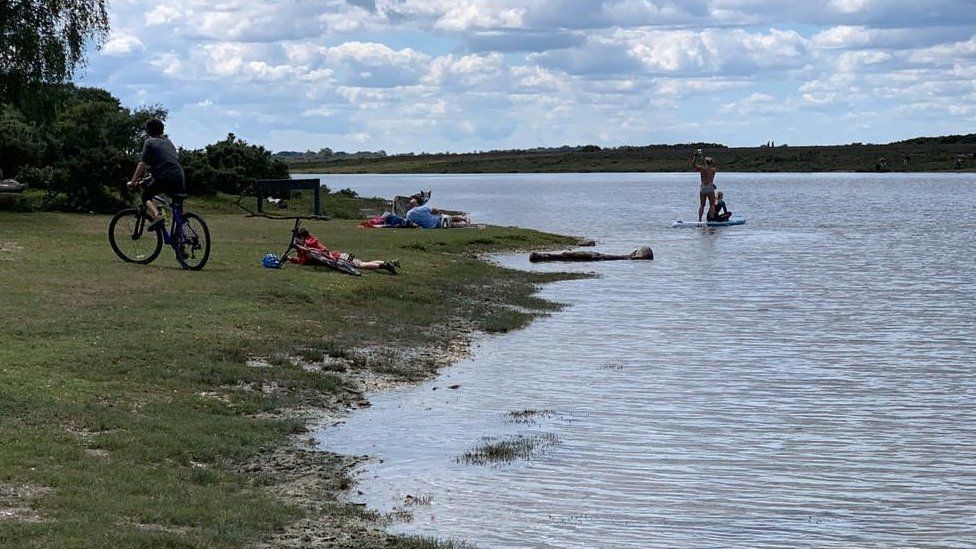 New Forest: Restoration work planned for Hatchet Pond after visitor ...