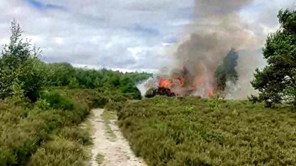 Three Sutton Park fires deliberate, say fire crews - BBC News