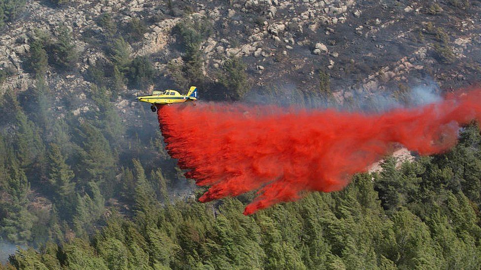 In pictures: Israel wildfires force evacuations in Haifa - BBC News