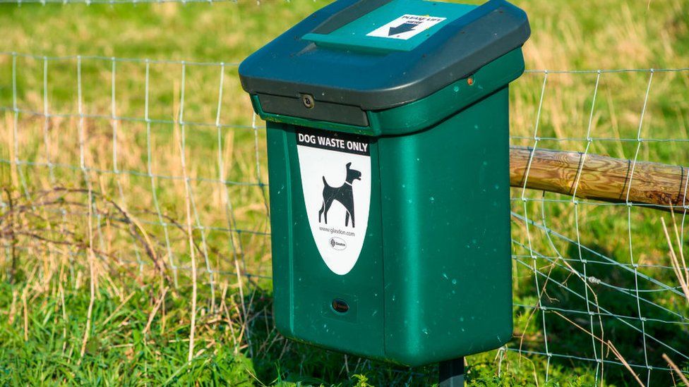 Dog poo: Possible bans and fines for owners who let dogs poo where they shouldn't - BBC Newsround