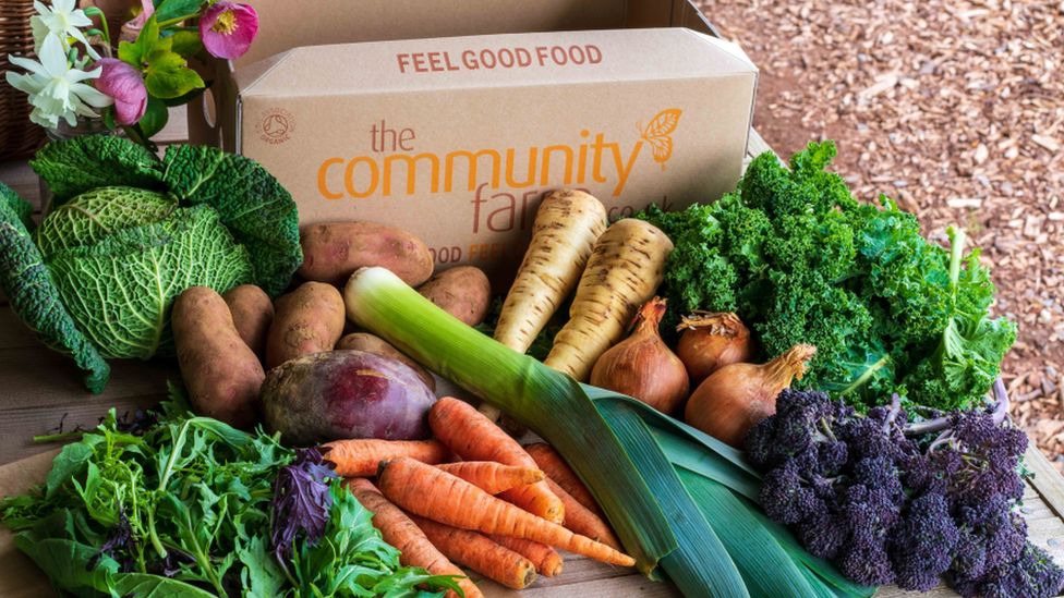 Somerset community farm's future 'on a knife edge' - BBC News