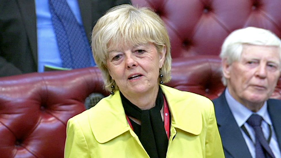 Labour peer Baroness Hayter sacked for 'last days of Hitler' jibe - BBC ...