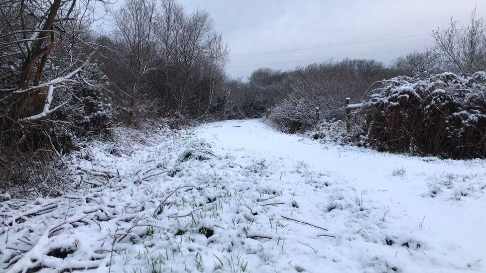 Freezing weather and snow affecting some schools in Cornwall - BBC News