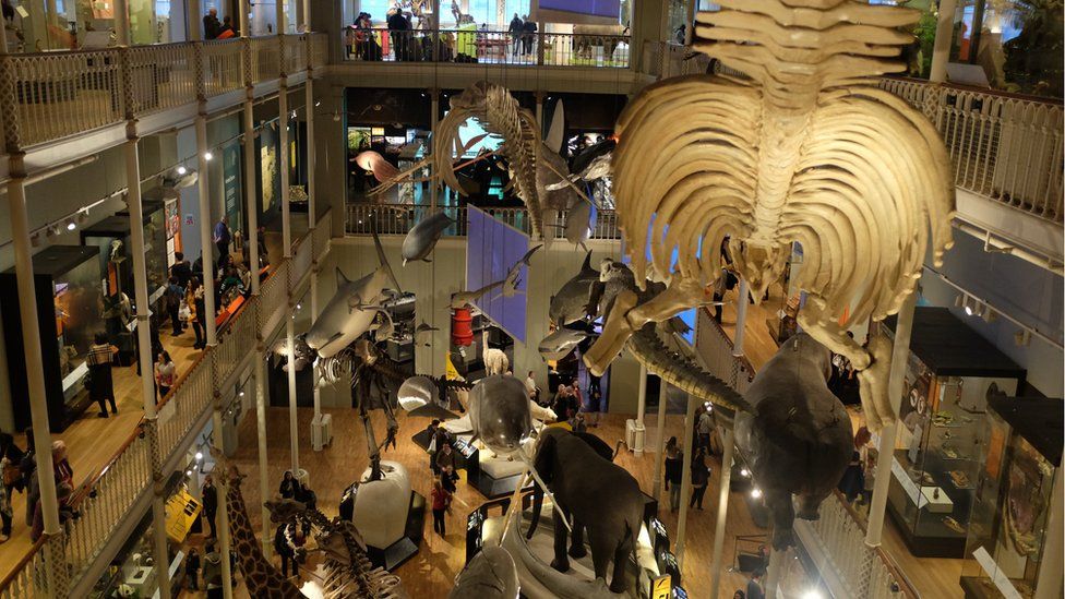 Record two million visitors for National Museum of Scotland - BBC News