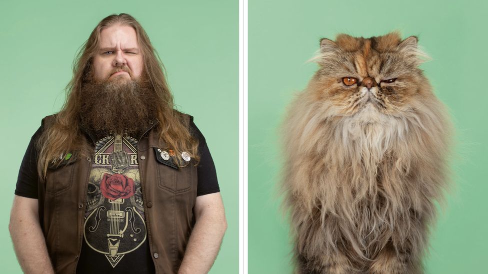 Meet the cats with human lookalikes! - BBC Newsround