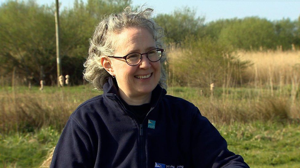 Rhaid rheoli ardaloedd gwarchodedig, yn ôl astudiaeth - BBC Cymru Fyw
