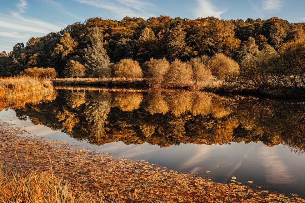 England's Big Picture: 5 - 11 October - BBC News