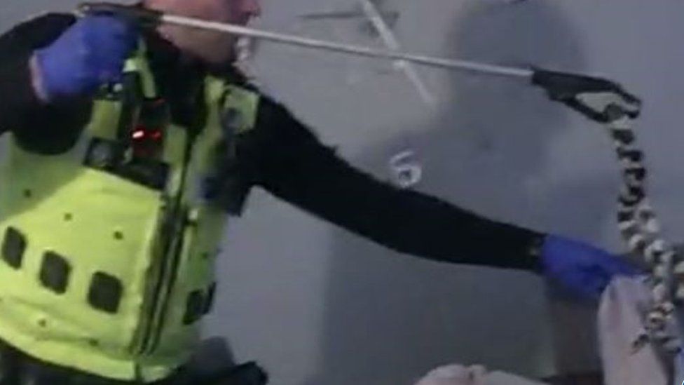 Huge snake slithers unexpectedly into Birmingham flat - BBC News