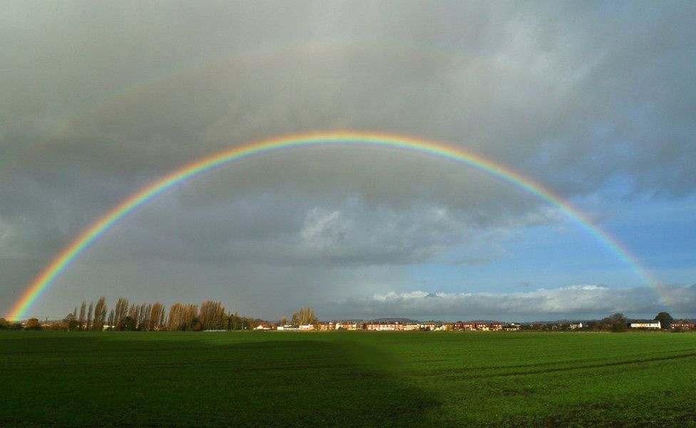 England's Big Picture: 14-20 November - BBC News