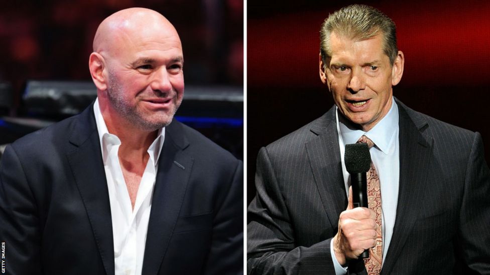 WWE & UFC merger: Lawrence Epstein on potential for joint events and ...