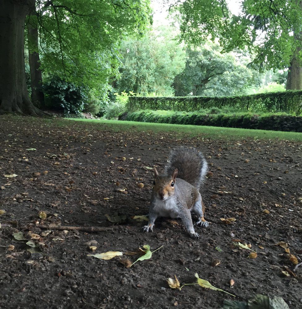 England's Big Picture: 1 - 7 August - BBC News