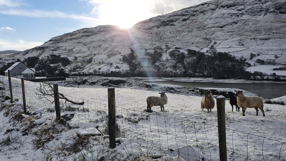 In pictures: Freezing weather hits Northern Ireland - BBC News