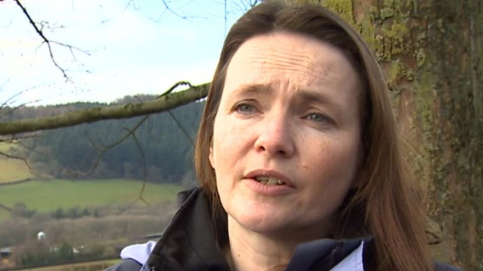 Welsh Tory aims to 'energise' assembly election voters - BBC News