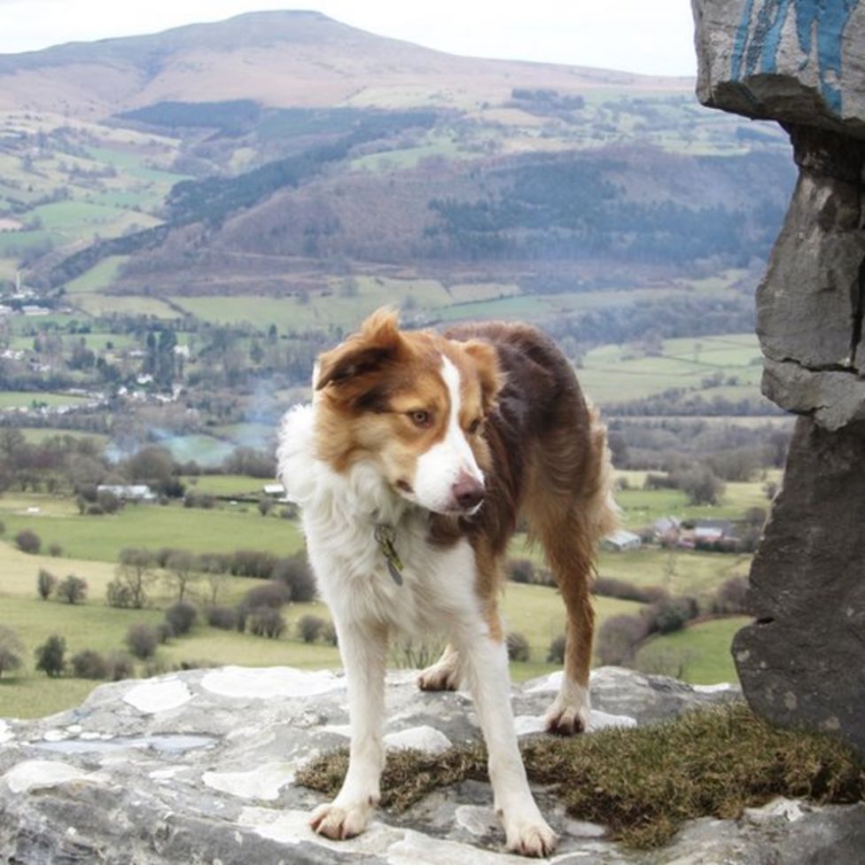 Your Pictures: 9 -15 March - BBC News