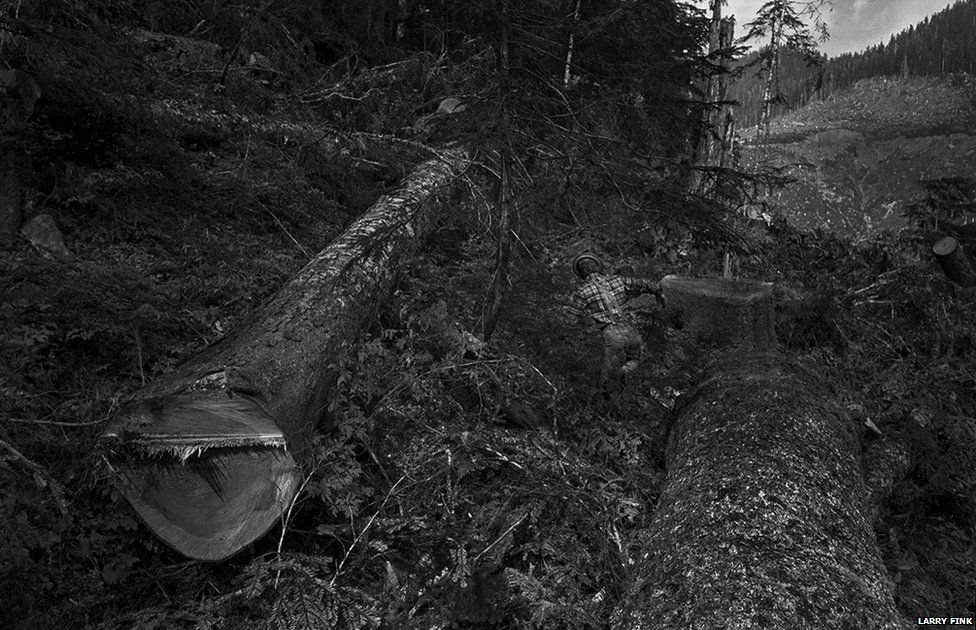 Loggers captured at work in Larry Fink's Opening the Sky - BBC News