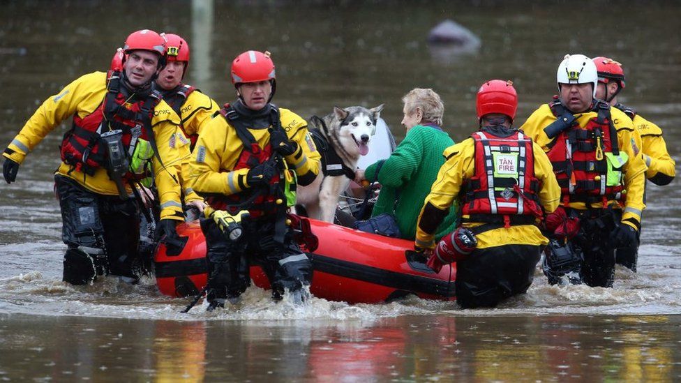 Floods How Do You Keep Pets Safe Bbc Newsround