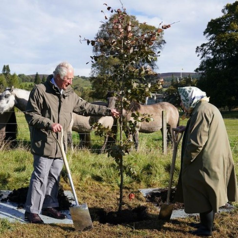 Forest planted in Rutland to celebrate King's coronation - BBC News