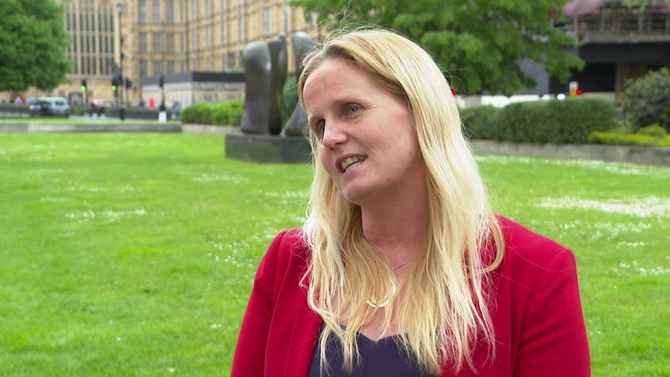 Labour MP urges party to pause new seat selection process - BBC News