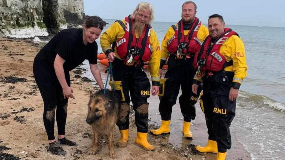 Dog rescue: German Shepherd saved from sea after alarm raised - BBC News