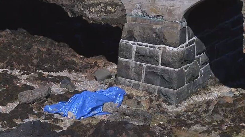 Guernsey GSPCA 'now like an emergency service' - BBC News