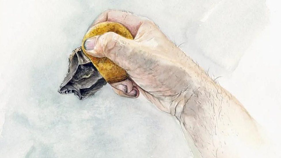 Neanderthals made a type of glue to use on their tools - BBC Newsround