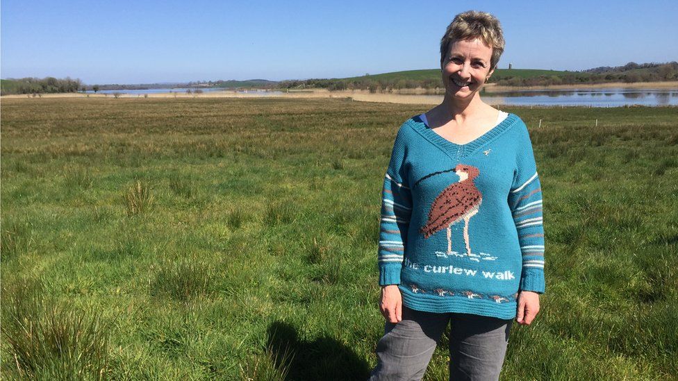 Curlew concern: Mary Colwell to walk from Enniskillen to England to ...