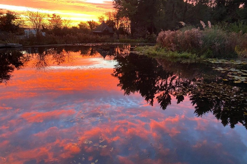 Spectacular sunrises snapped over East Midlands - BBC News