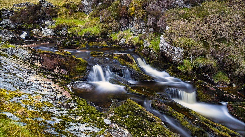 Magnificent Meirionnydd // Meirionnydd a'r cyffiniau - BBC Cymru Fyw