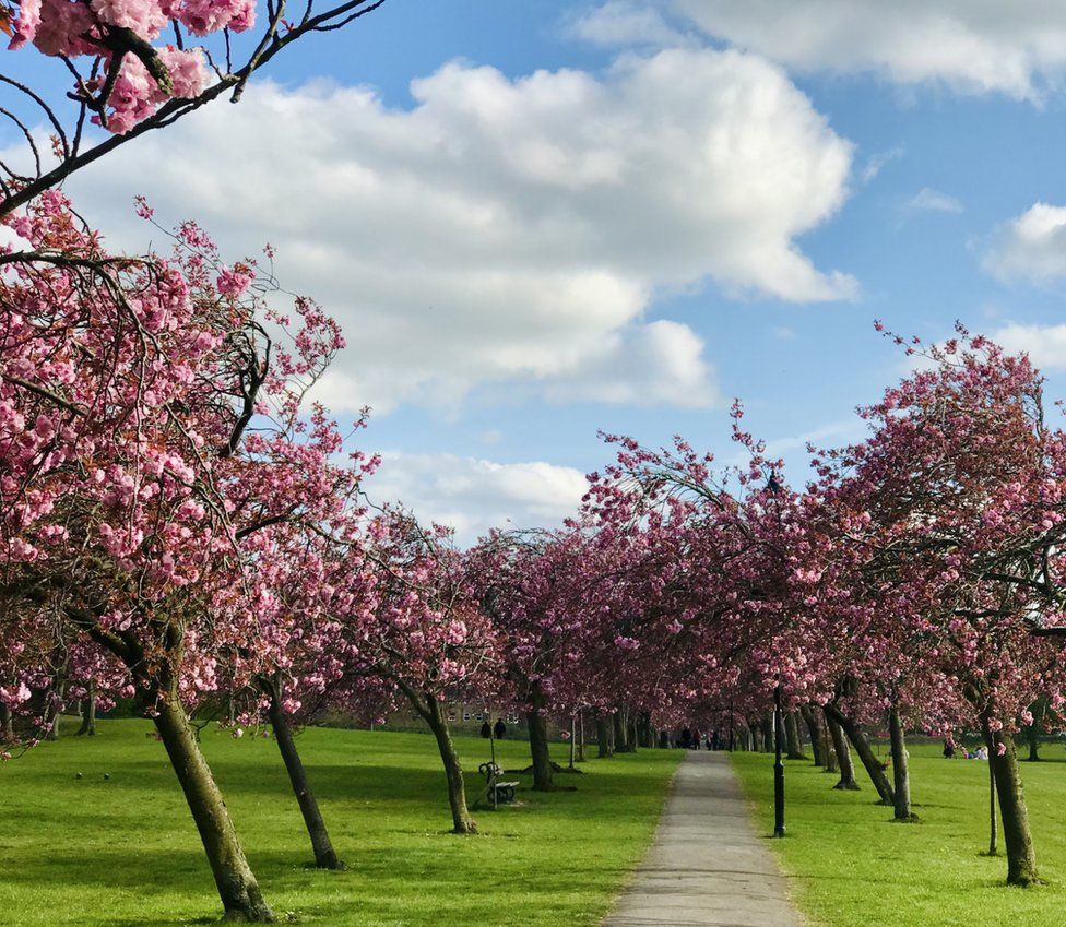 England's Big Picture: 3 - 9 May - BBC News