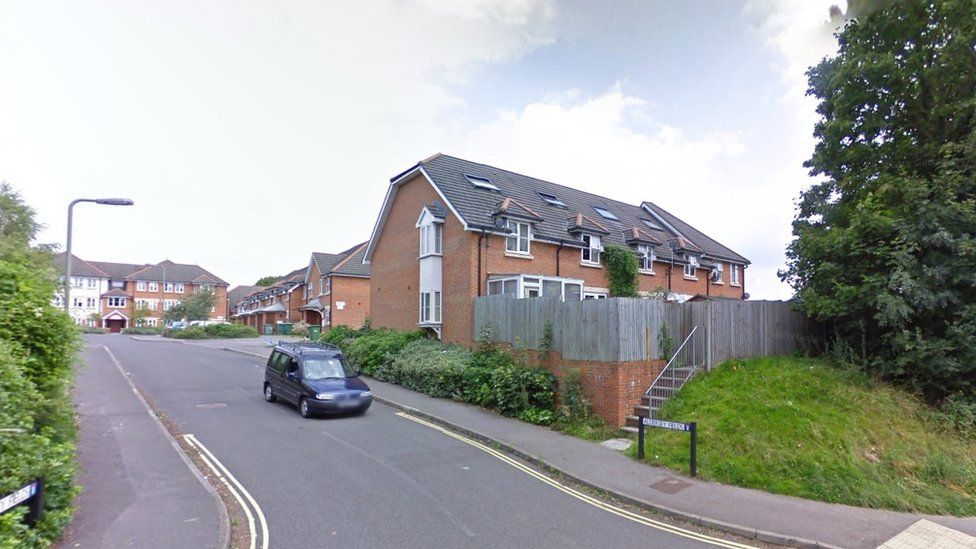 Murder arrests after woman stabbed to death in Alton - BBC News