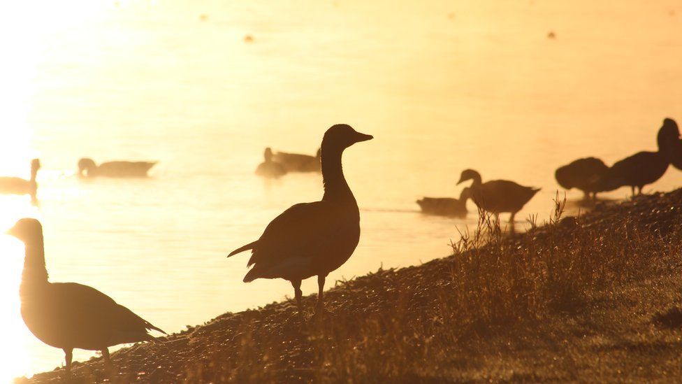 Your pictures of Scotland 25 September - 2 October - BBC News