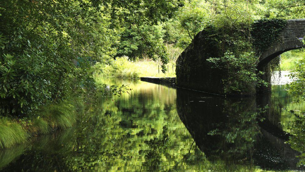 Your Pictures: 11-19 July 2017 - BBC News