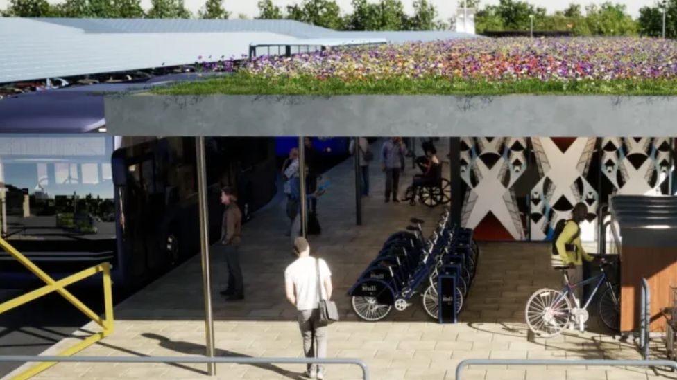 Gloucester bus shelters could become gardens for bees - BBC News