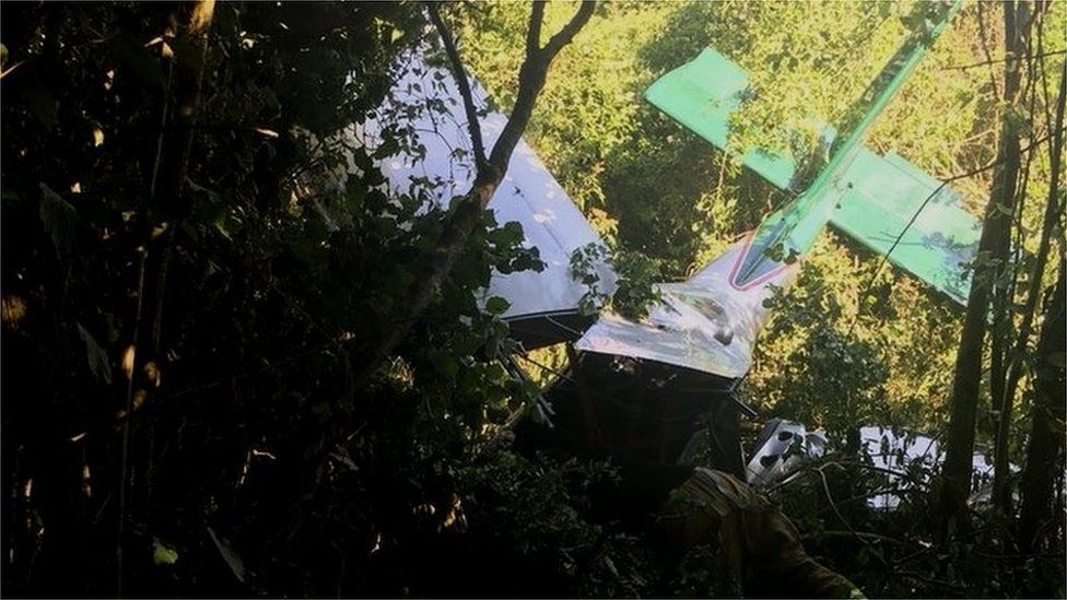Two escape as aircraft crashes in trees near Winchester - BBC News