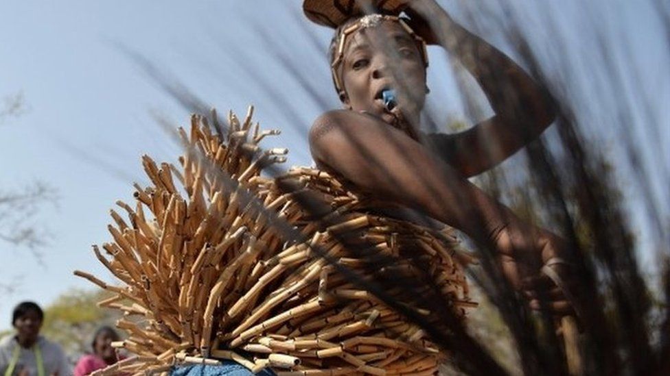 Africa in pictures: 28 August-3 September 2015 - BBC News