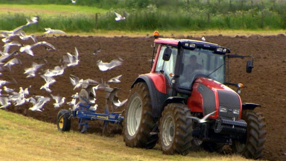 Tractors and crops targeted in rural crime wave - BBC News
