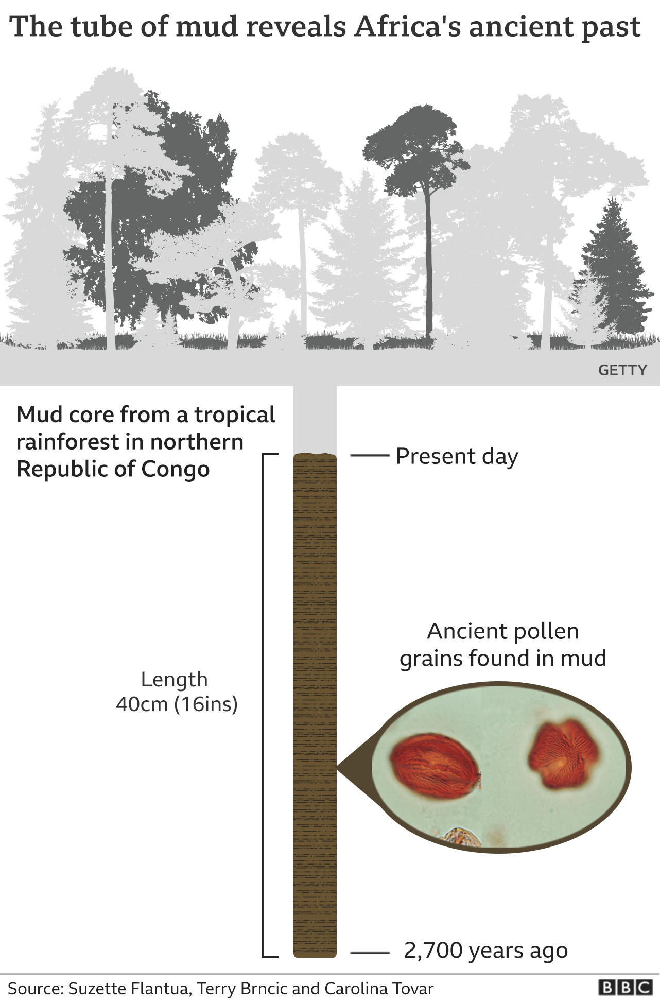 Mud cylinders reveal humans' impact on Earth began earlier than we ...