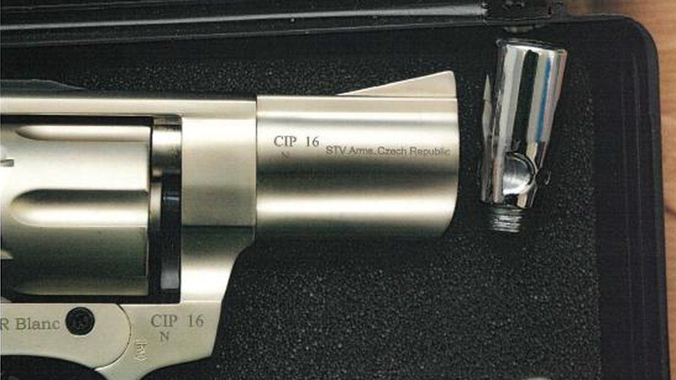 Gun importer should find new hobby, says judge - BBC News