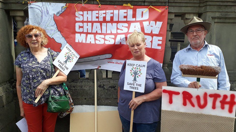 Sheffield City Council write apology to tree campaigners - BBC News