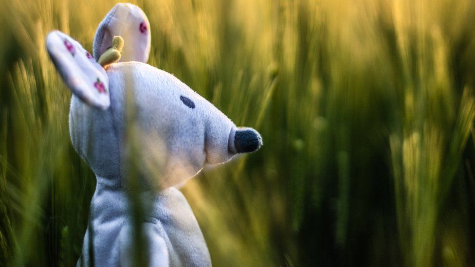 Toys reunited: National Express wants to find owners of lost toys - BBC ...