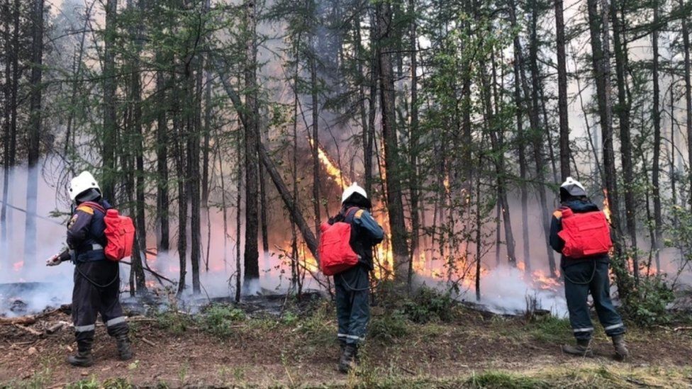 Russia forest fires: New report shows damage worst since records began ...
